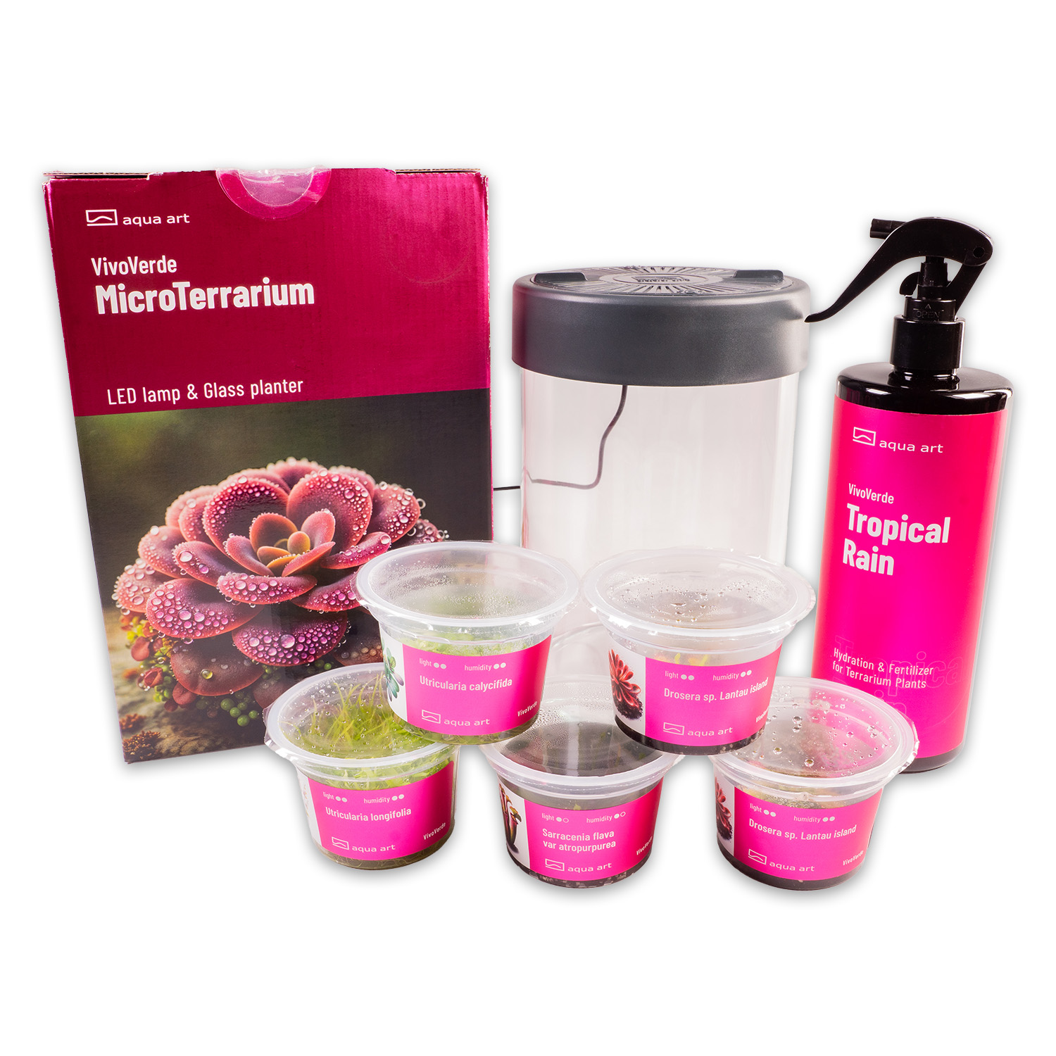 AquaArt VivoVerde Micro Terrarium Set mit 5 Pflanzen und Tropical Rain ...